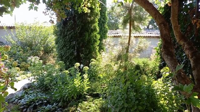 #сп_дыхание_осени#вязание_с_валентиной_романчук_вступлениеМое Вступление в СП_Дыхание Осени..mp4