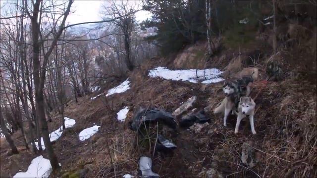 Неудавшийся поход, март 2023 года