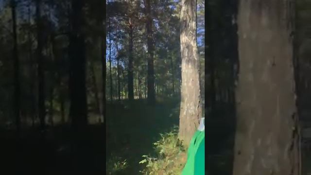 Знай эко-этикет!