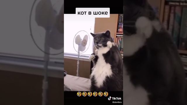 папа в шоке