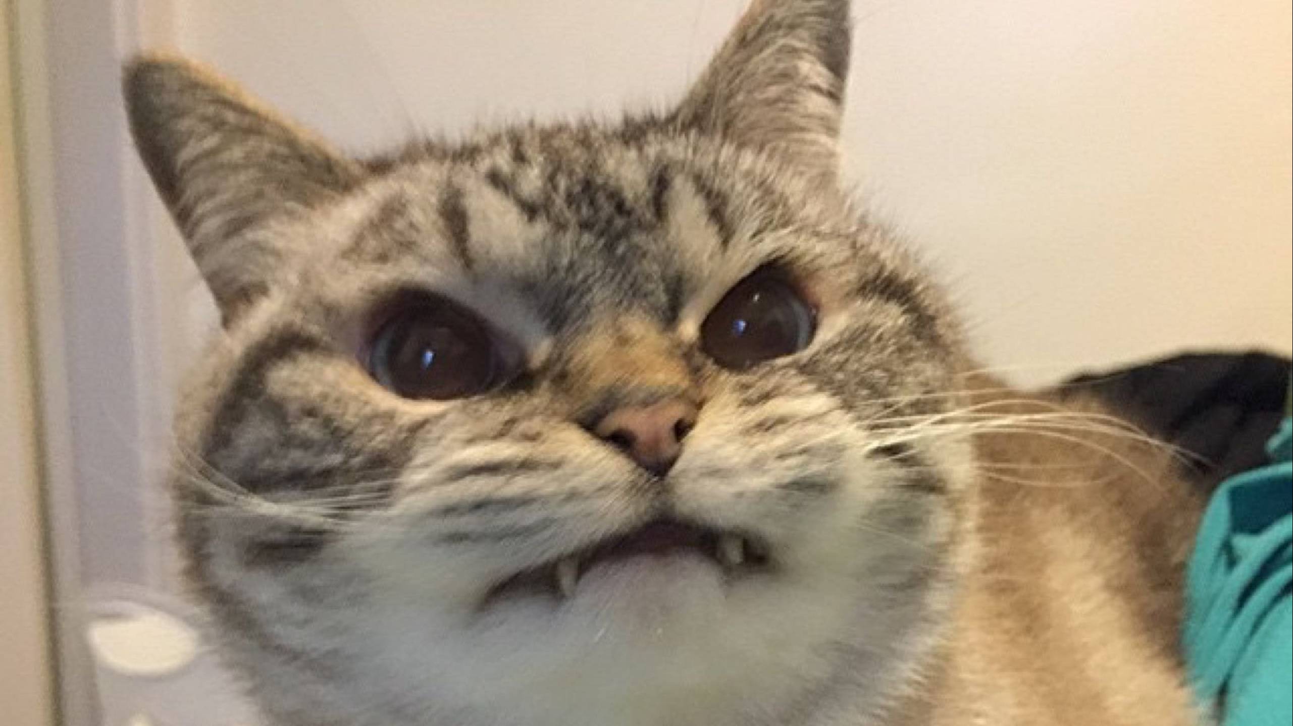 играю в исии рп