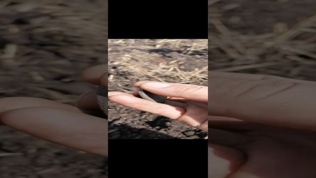 Не ожидал такое найти в чистом поле.