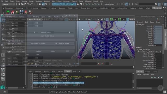 02 05 Creating Front Deltoid Muscle