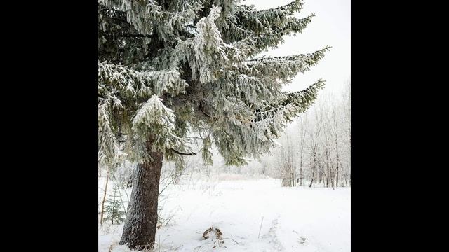 Музыка для размышления, медитации, сна и отдыха, для души, фортепьяно. Урал с птичьего полета