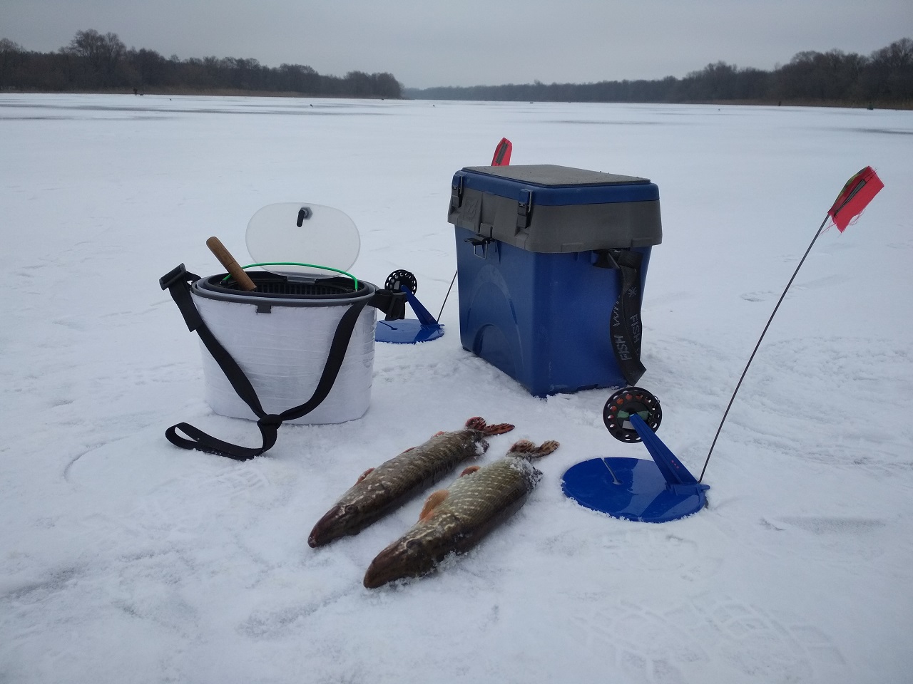 ЩУКА НА ЖЕРЛИЦЫ В ДЕКАБРЕ. Косяки новой КАНЫ