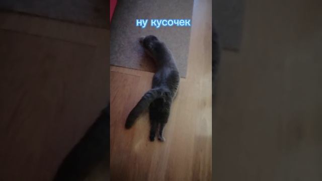 Ну дайте мне покушать.
