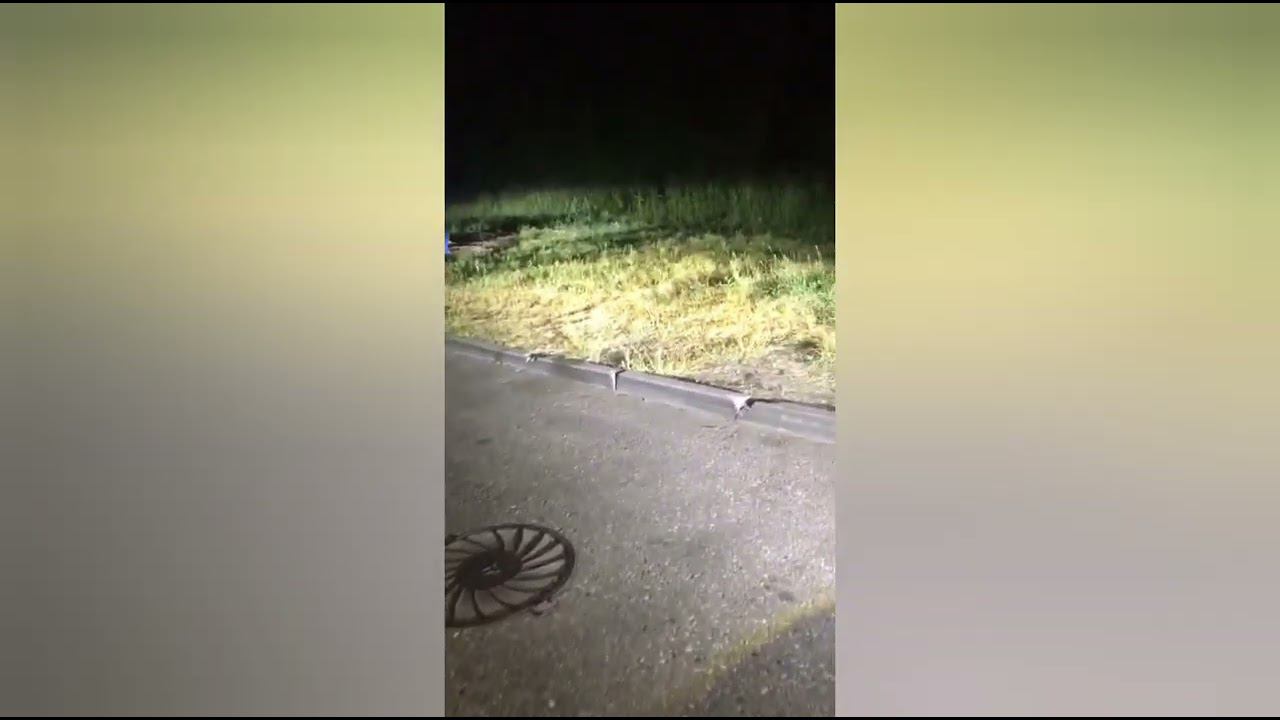 Mazda6 6 отзыв клиента!