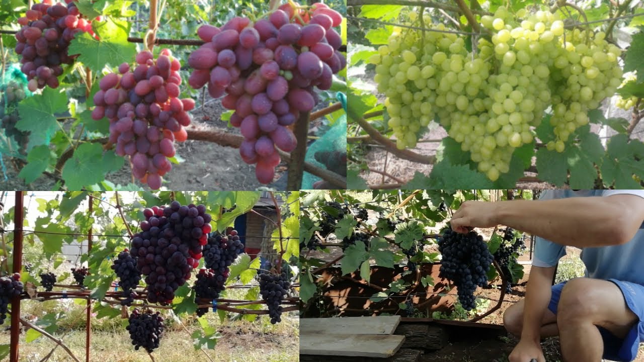 Результат 2021. Мои рекорды