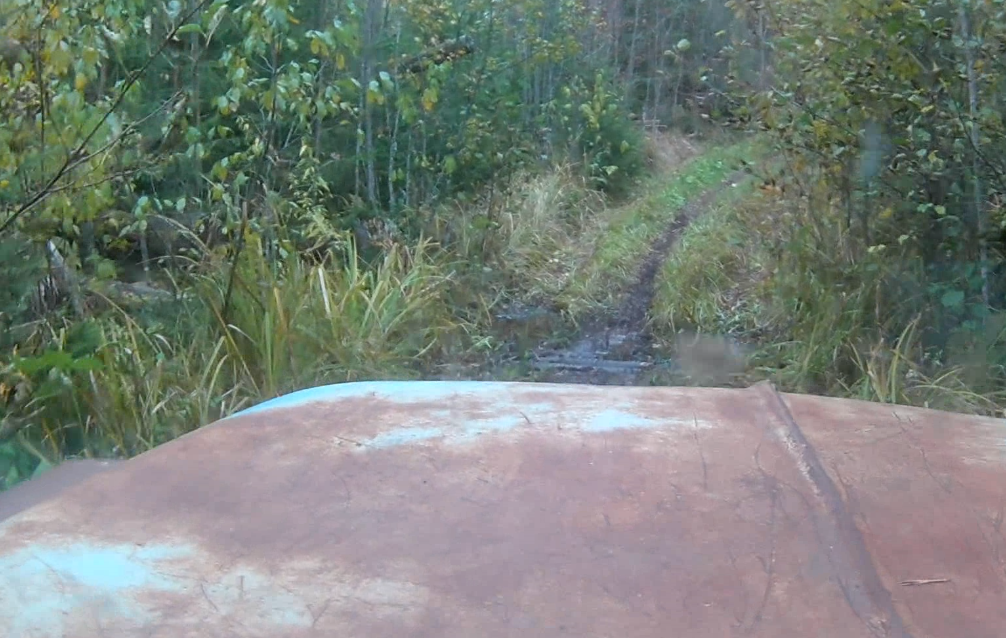 На газ 52 за дровам.