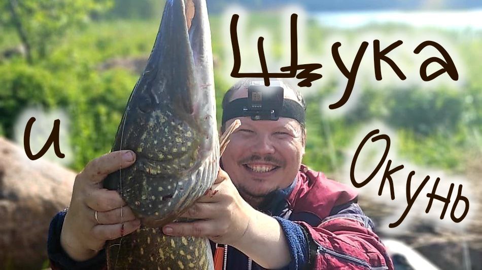 ЩУКА и ОКУНЬ на воблер, осенняя рыбалка лайф