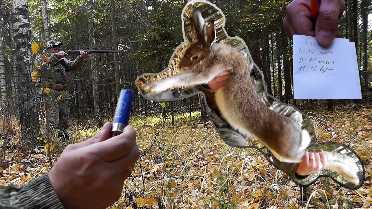 Трудовой ЗАЯЦ! Дробь  №5! Сушь, ЭВА устала,  поим из пакета. Охота на ЗАЙЦА! СЕЗОН 2021-2022г.