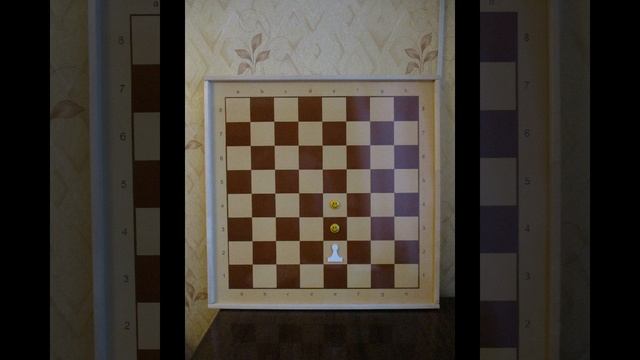 Урок 14. Ходы фигур. Пешка