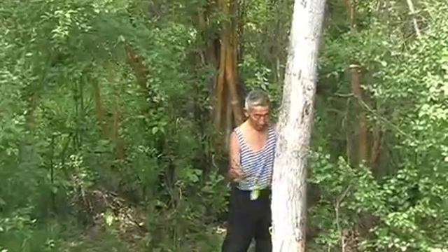 Кордавун из Курумканской тайги