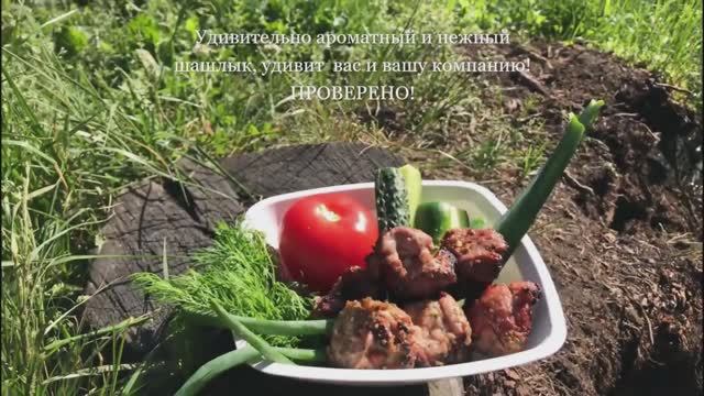 Приготовим - Шашлык по рецепту Ларисы Гузеевой