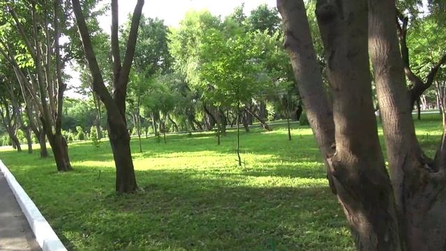 #РифатГумеров, #Ташкент, Отель Le Grande Plaza, Серия 338,