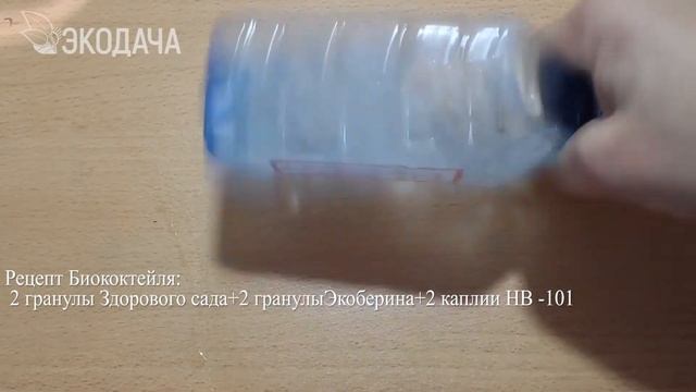 Посев корневого сельдерея  на рассаду. Простой способ