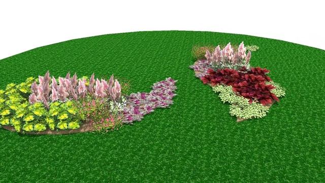 Клумба из многолетников Павлиний Хвост.mp4