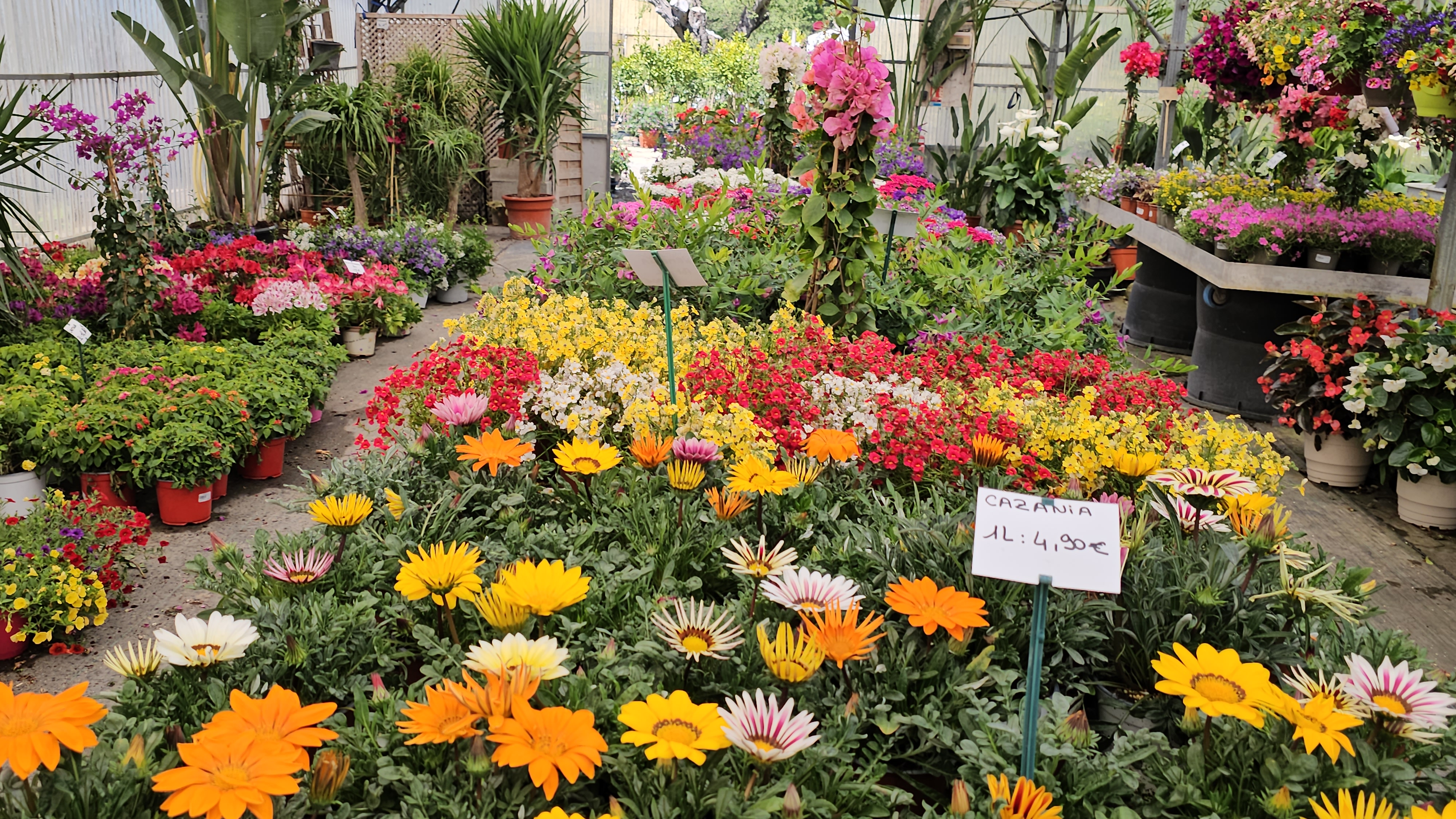 День открытых дверей 2024 во французском питомнике растений.Ну,и цены.Купили рассаду по минимуму...