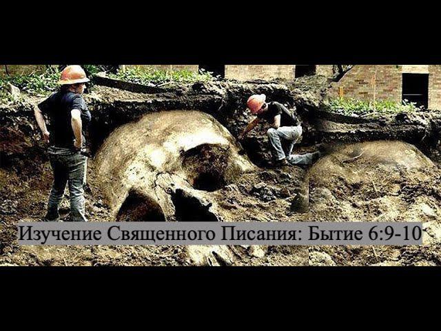 Изучение Священного Писания (Ветхий Завет): детальный разбор книги Бытия, 6 глава, стихи 9 и 10.