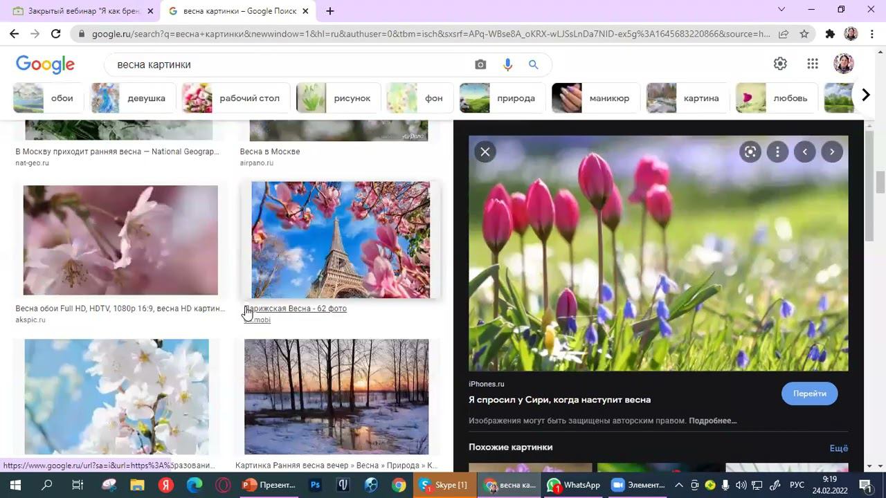 Урок 1. PowerPoint - добавляем фон для ролика и картинки в презентацию