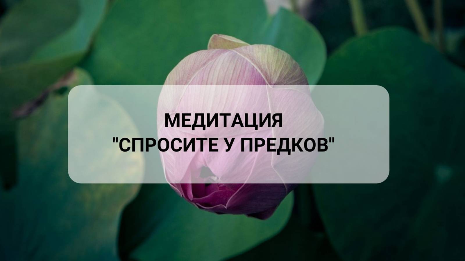 Медитация  "Спросите у предков"