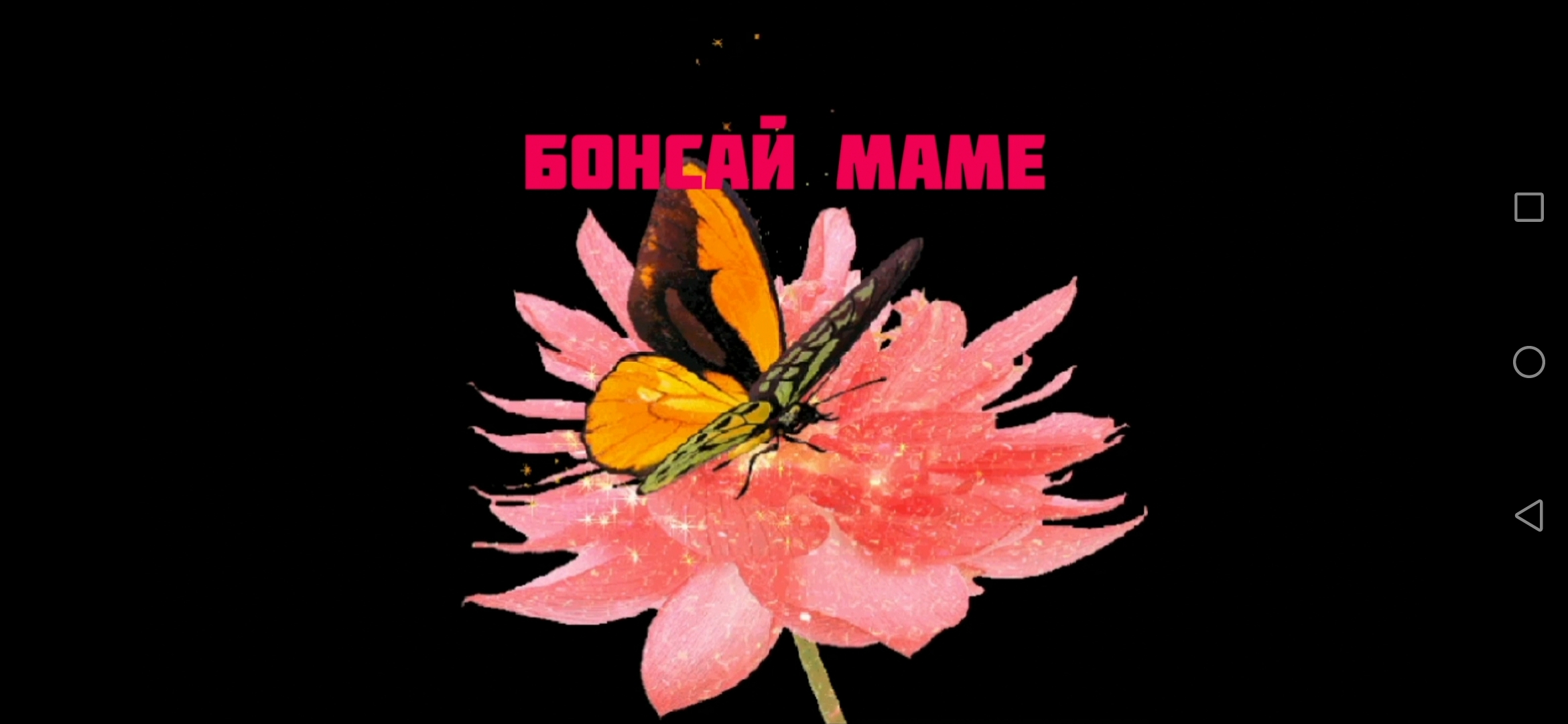 Бонсай маме