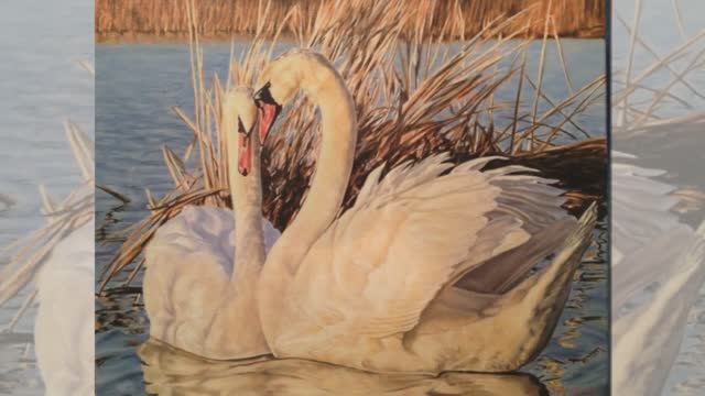 Песня о птицах