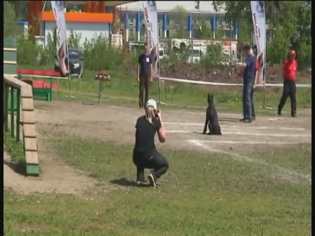 Шигаев Роман и ризеншнауцер Банзай. ОКД. 1 место. Соревнования по дрессировке. Самара, 22 мая 2011.