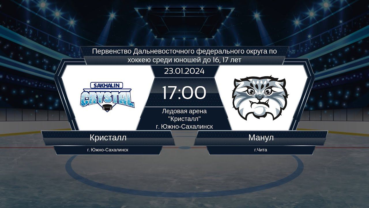 Хоккей, ДФО . "Кристалл" - "Манул".
