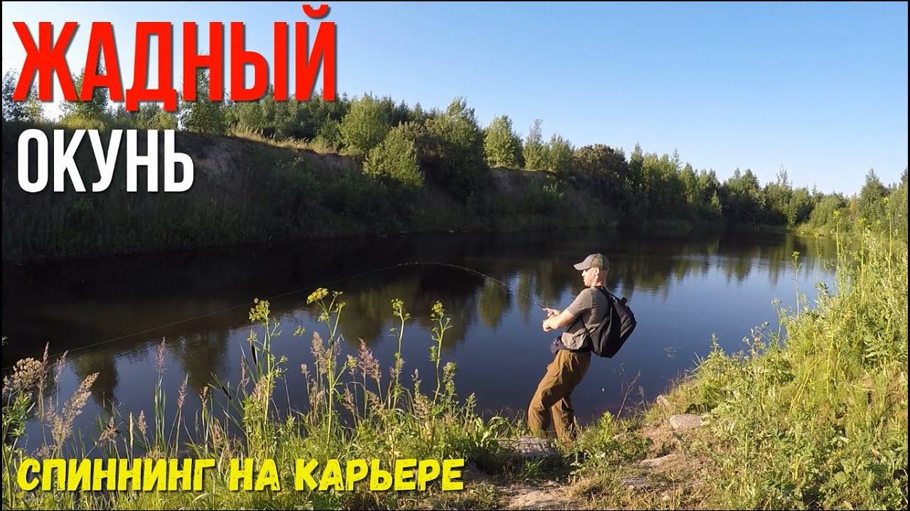Ловля окуня на карьере! Рыбалка на спиннинг!