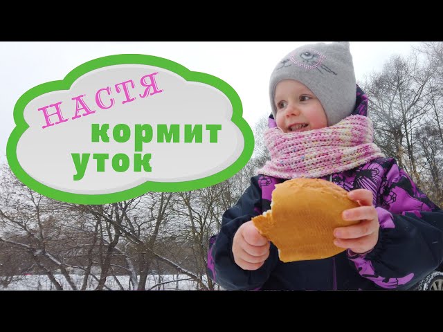 Настя кормит уток.mp4
