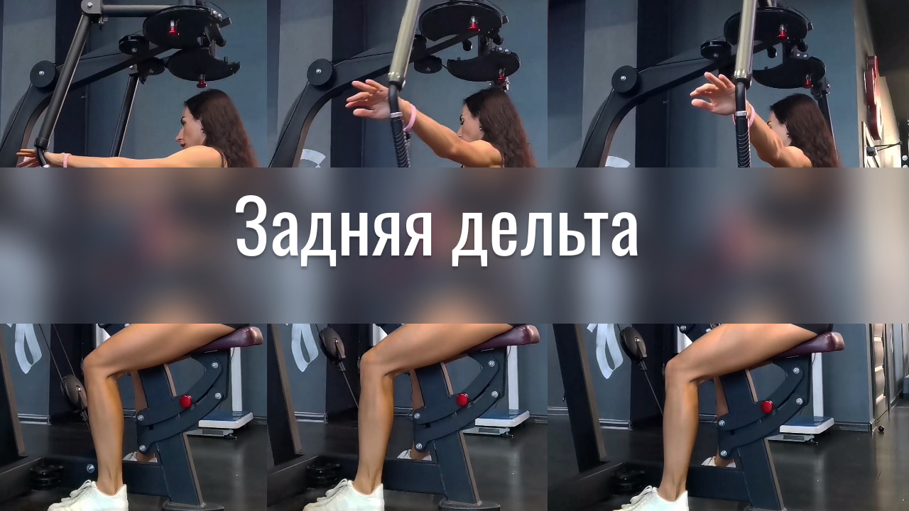 Занятие_0003 Задняя дельта