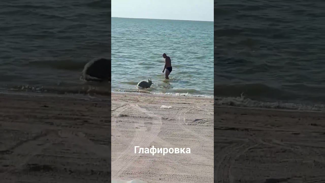 Глафировка, 7 сентября 2023 г.