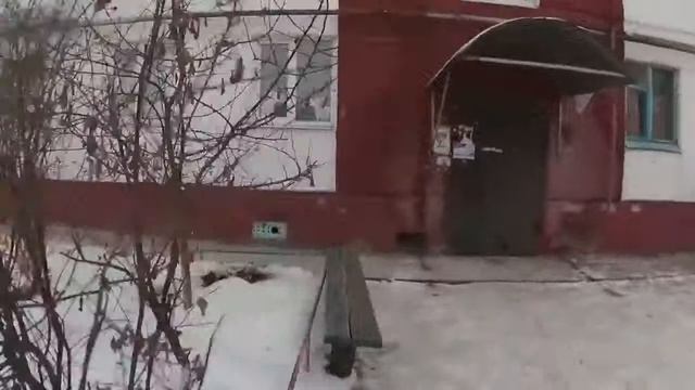 Мандариновый позитив в Далматово