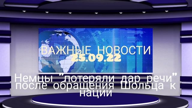 Немцы "потеряли дар речи" после обращения Шольца к нации