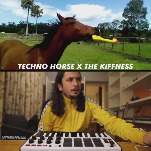 Техно лошадь X The Kiffness (Squeeky Chicken Toy Remix)