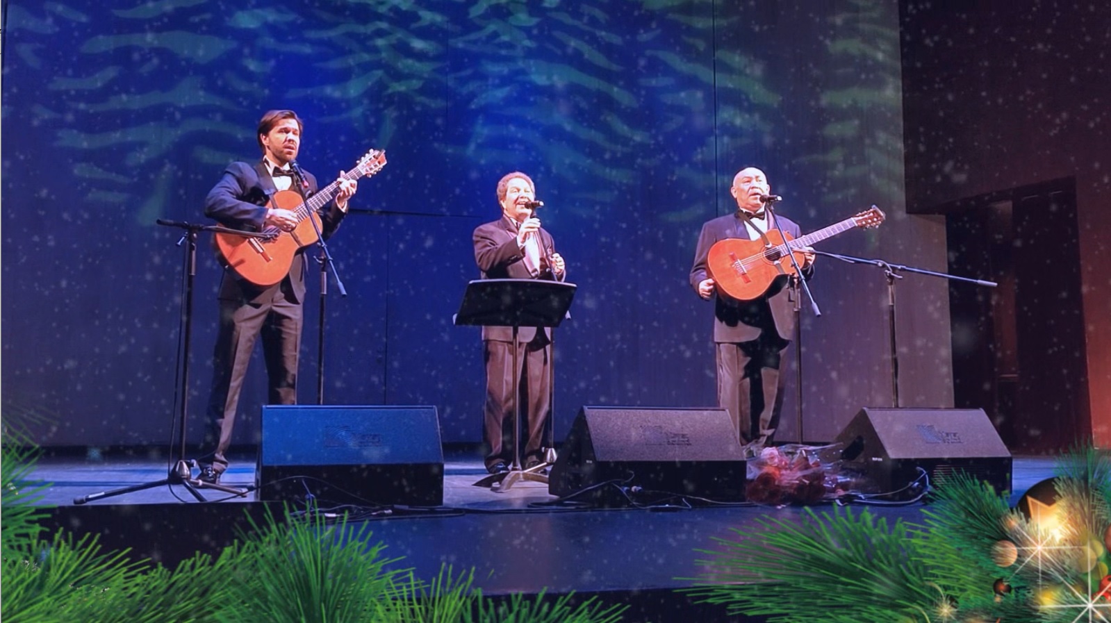 Трио РЕЛИКТ - В лесу родилась елочка (ММДМ, 2022)