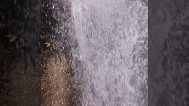 Отдых в Сочи Лазаревское.