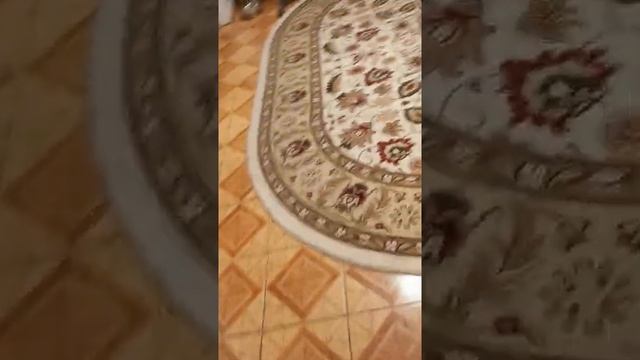 Взял след...mp4