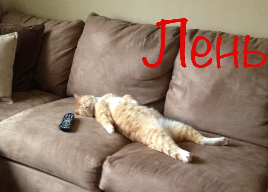 Как побороть лень? Техника кайдзен правила мотивации