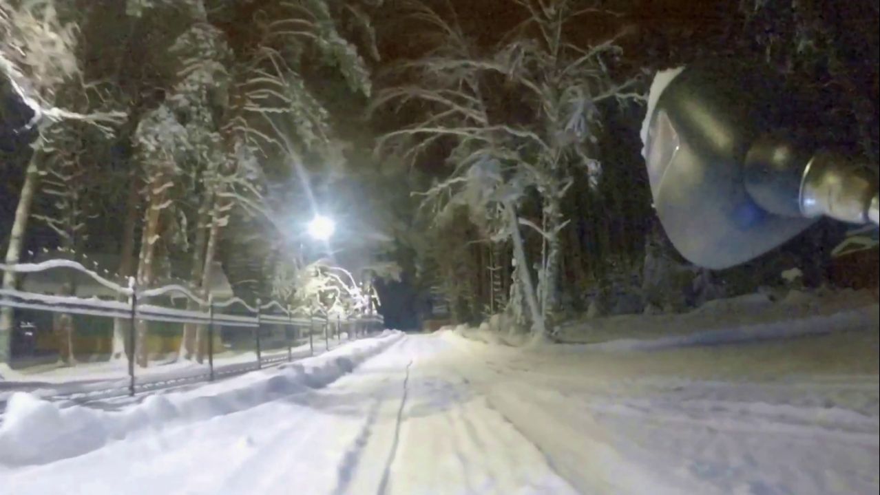 ЗАСНЕЖЕННЫЙ ЛЕС НОЧЬ ФОНАРИ 2022.12.18