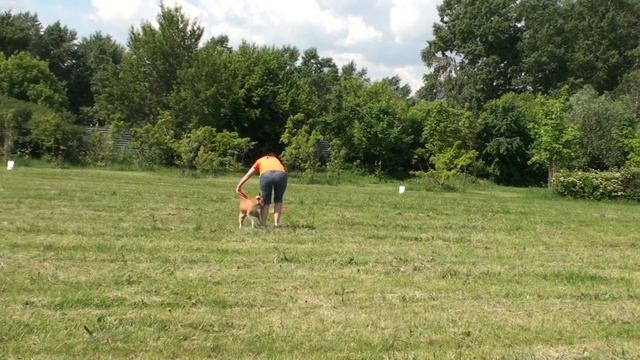 Захватывающие диски Саша и Кира.mp4