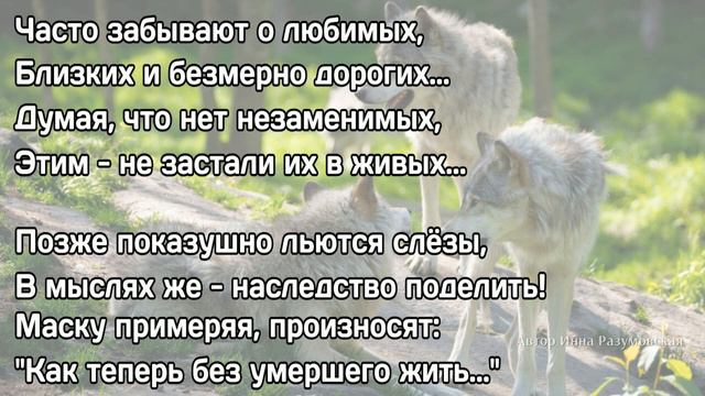 Инна Разумовская - Исчезла в людях человечность