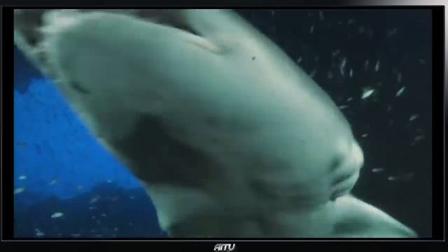 Земля. Жизнь без людей. Научно-документальный фильм 2008г.