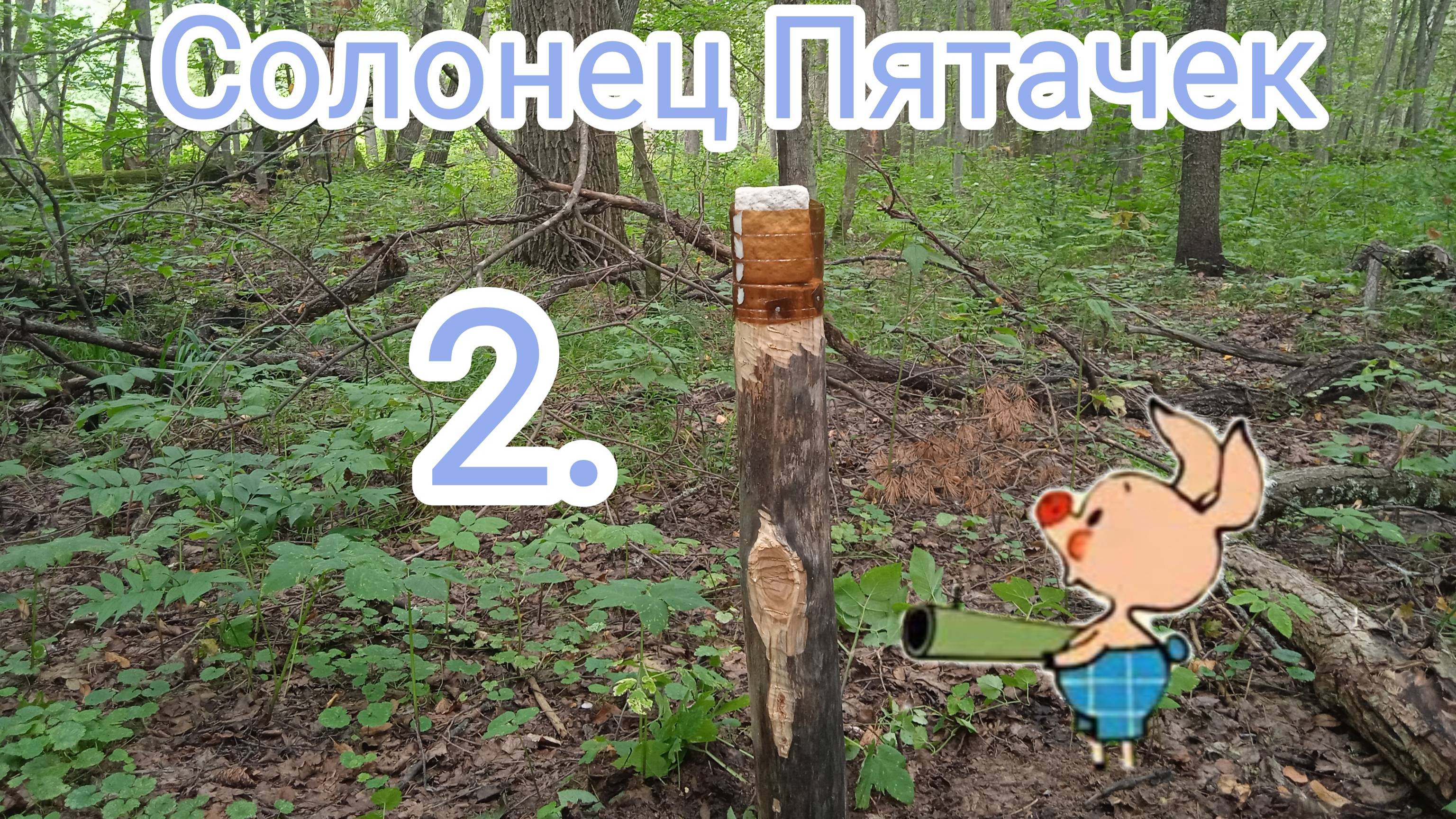 Солонец Пятачек 2