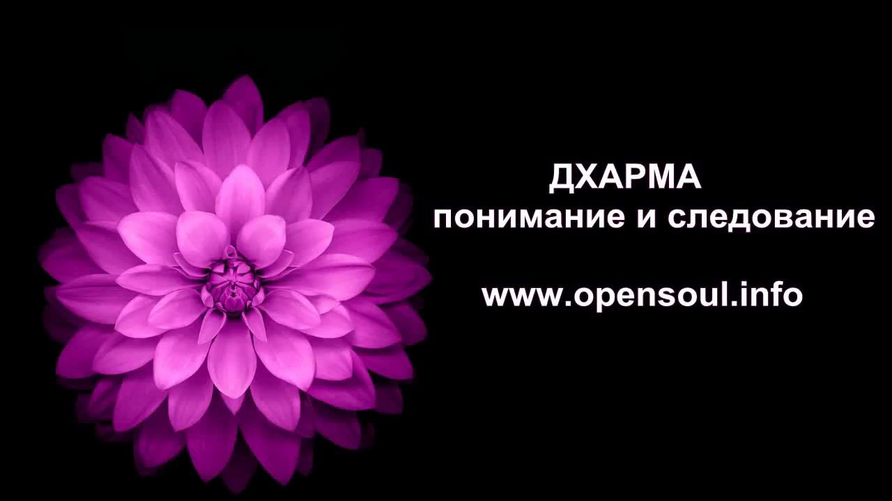 Понимание дхармы. Проживание и путь дхармы.