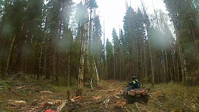 на квадроциклах по "бурелому" на делянке.
