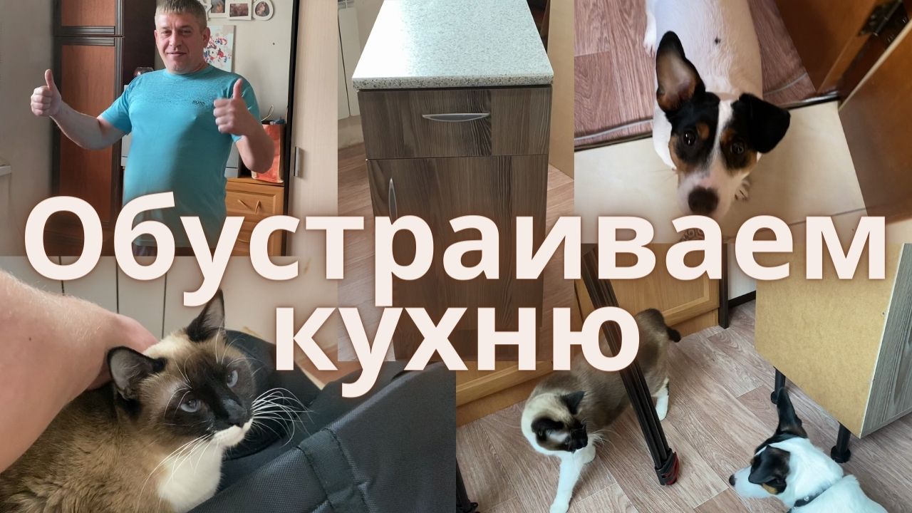 ОБУСТРАИВАЕМ КУХНЮ