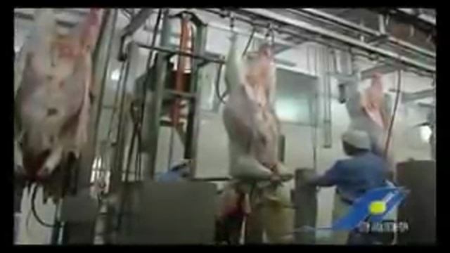 Линия крс из Китая