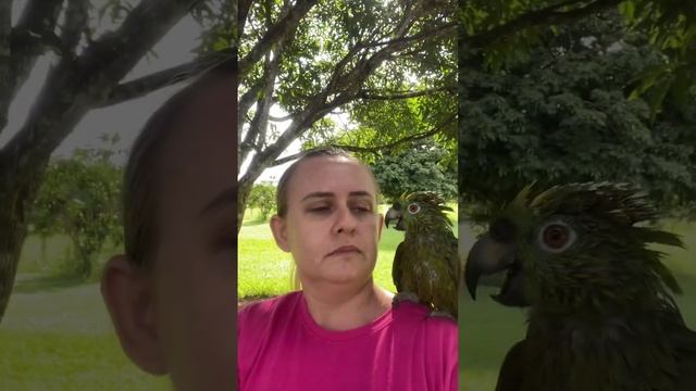 Женщина решила отчитать своего попуга за погрызенные шнуры и вот что из этого вышло